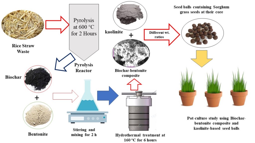 Elucidating the Potential of Biochar-bentonite Composite and Kaolinite-based Seed Balls for the ...