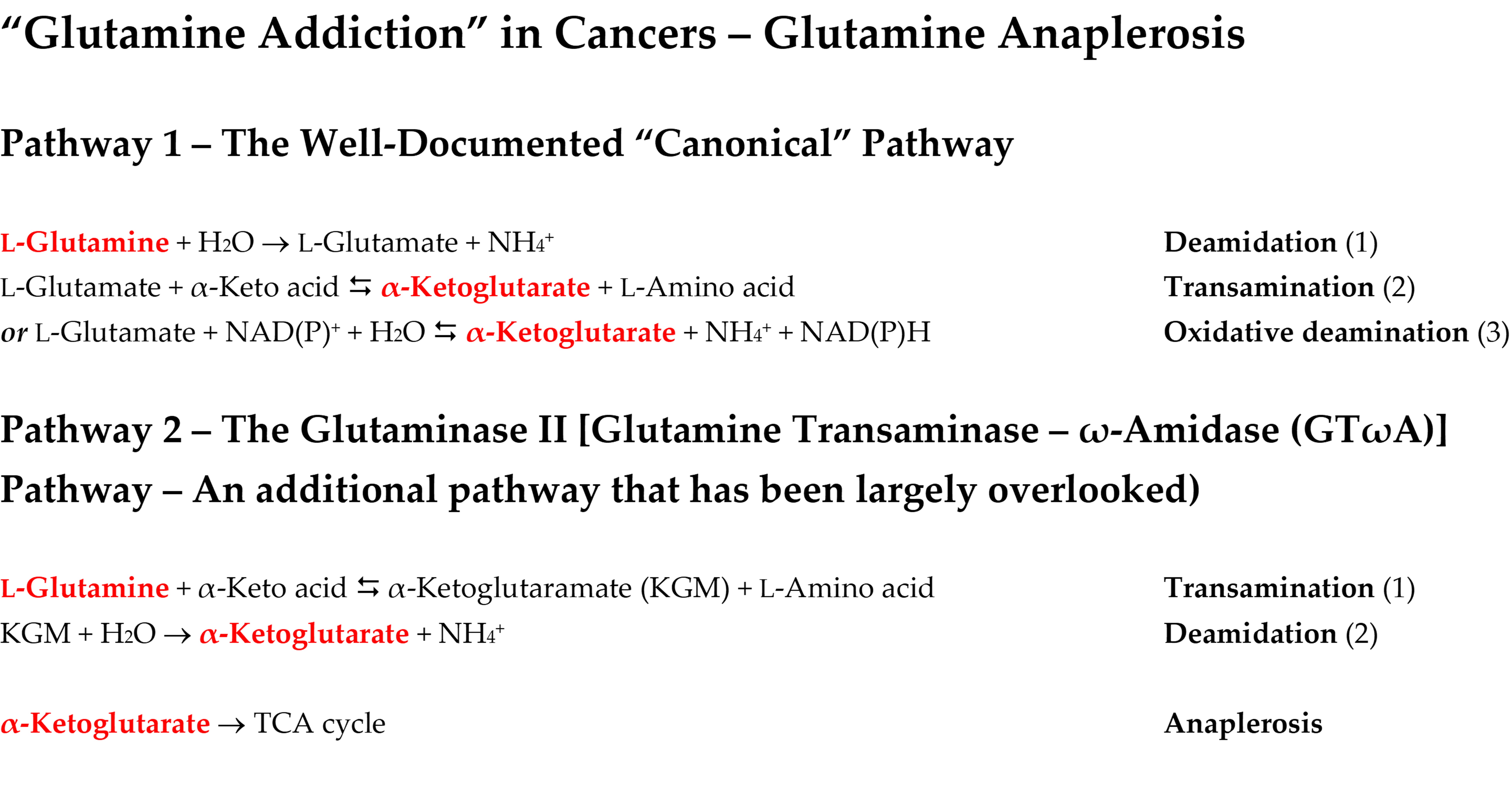 Metabolic Heterogeneity, Plasticity and Adaptation to “Gluta-mine ...