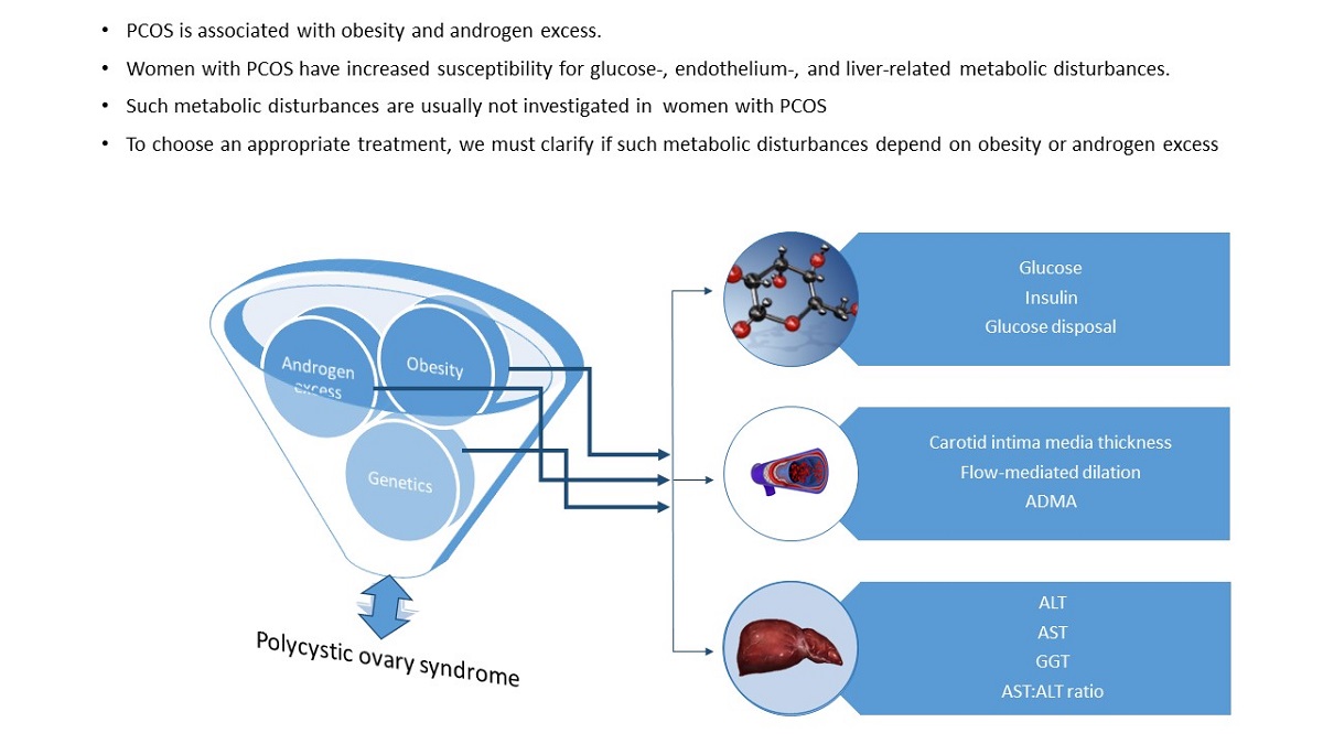 The Contribution of Obesity and Hyperandrogenemia to the Risk of ...