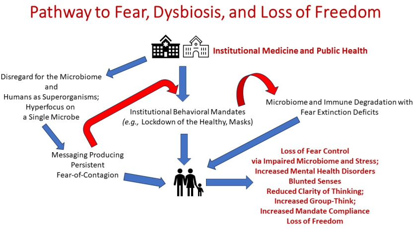 The Human Superorganism: Microbes for Freedom vs. Fear[v1] | Preprints.org
