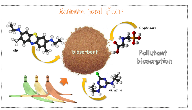 Banana Peel Powder Biosorbent for Removal of Hazardous Organic ...