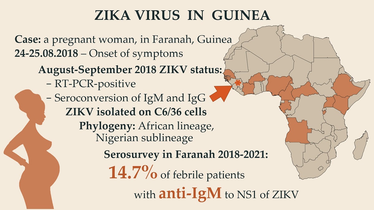 The First Case of Zika Virus Disease in Guinea: Description, Virus ...