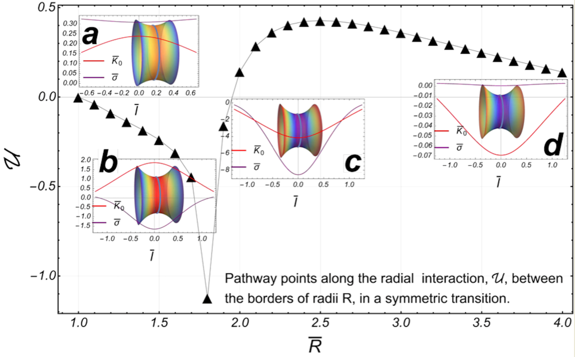 Inhomogeneous Canham-Helfrich Abscission in Catenoid Necks under ...