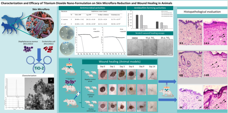 Characterization and Efficacy of Titanium Dioxide Nano-Formulation on ...
