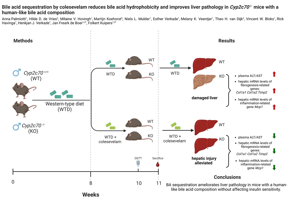 Bile Acid Sequestration by Colesevelam Reduces Bile Acid Hydrophobicity ...