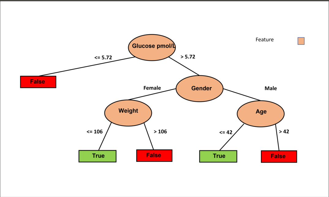 Understanding Type 2 Diabetes Mellitus Risk Parameters Through ...