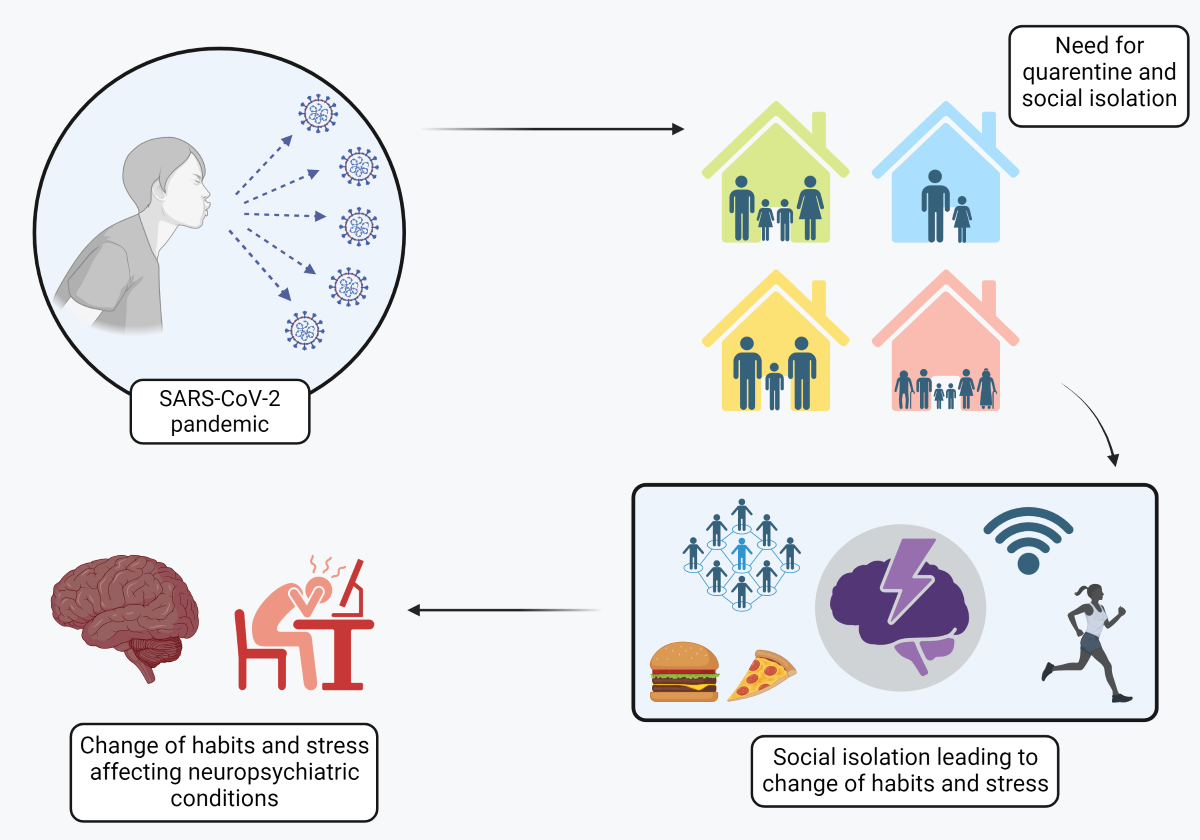 The Impact of Stress from Social Isolation During the COVID-19 Pandemic ...