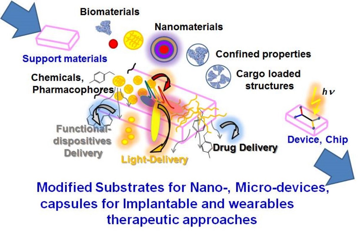 Implantable Devices, Nano-, and Micro-Capsules for Future Nanomedicine ...