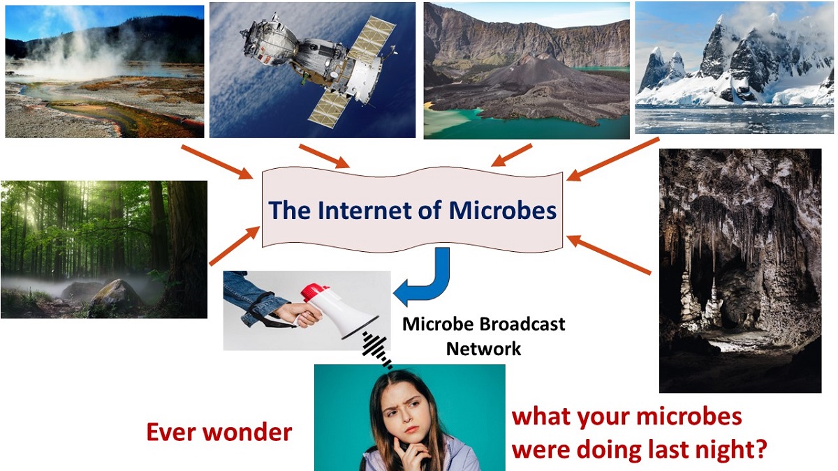 The Embodied Microbiome[v1] | Preprints.org