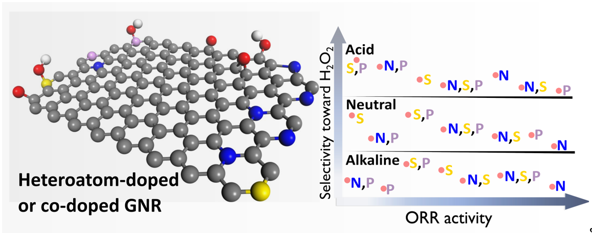 Exploring the Potential of Heteroatom-Doped Graphene Nanoribbons as a ...