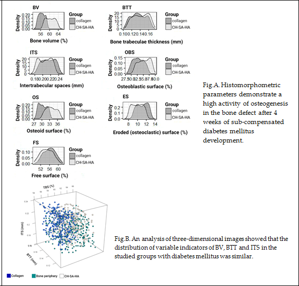 Morphological Reconstruction of a Critical Size Bone Defect in the ...