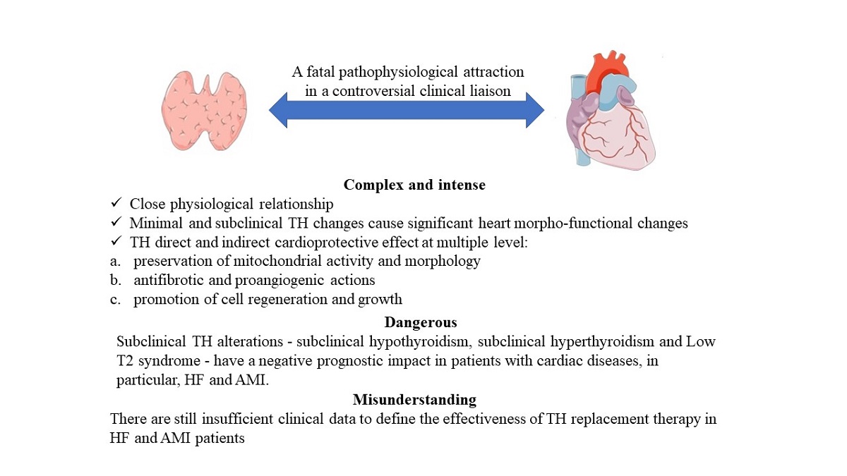 Thyroid and Heart: A Fatal Pathophysiological Attraction in A ...