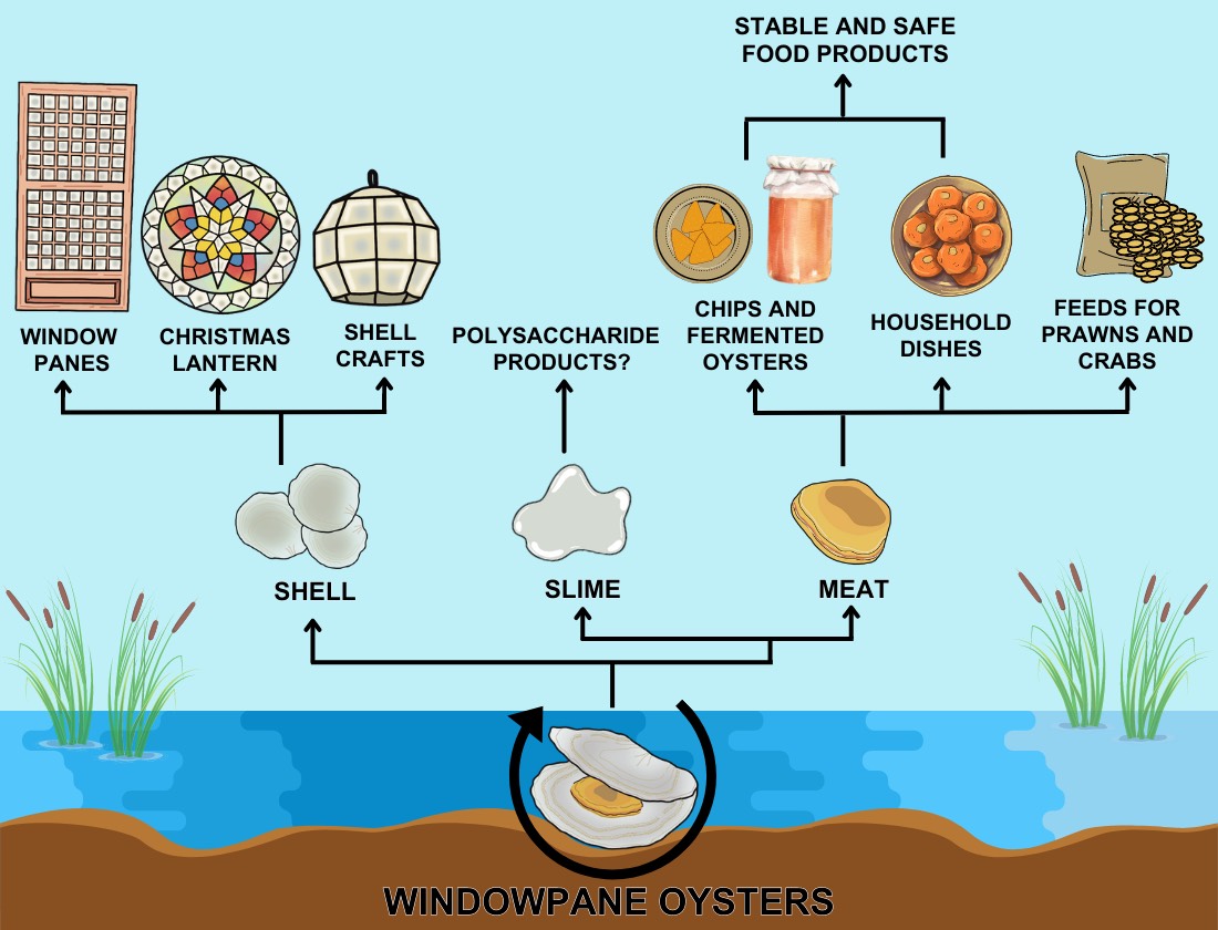 History and Prospects for Sustainability and Circularity of the ...