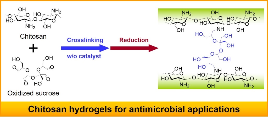 Chitosan Hydrogels Crosslinked with Oxidized Sucrose for Antimicrobial ...