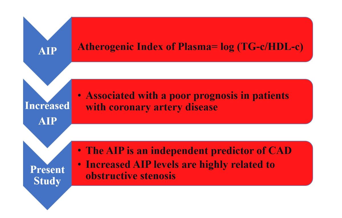 Atherogenic Index of Plasma Predicts Obstructive Coronary Artery ...