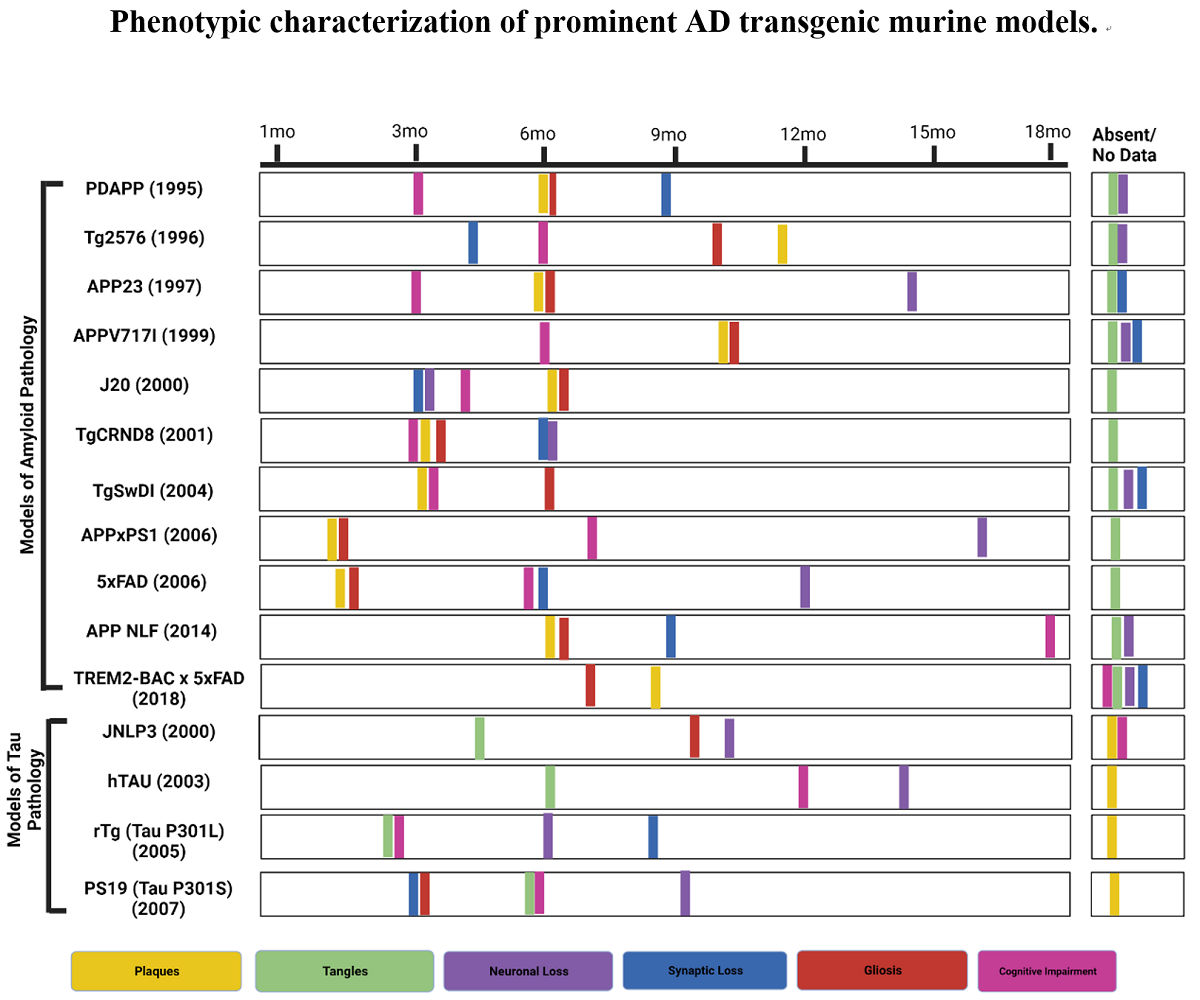 Mammalian Models in Alzheimer's Research: An update[v1] | Preprints.org