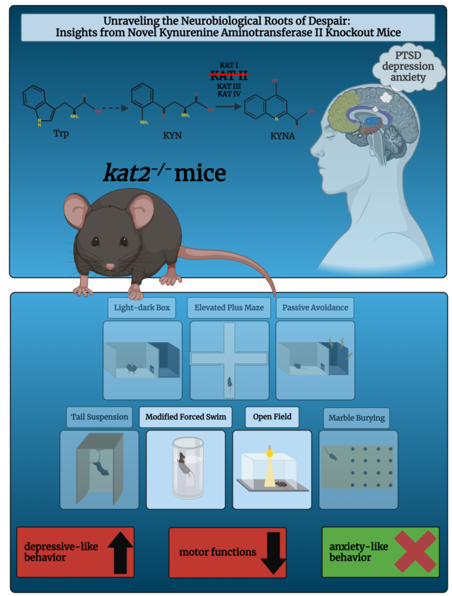 Exploring the Neurobiological Roots of Emotional Behavior in Tryptophan ...