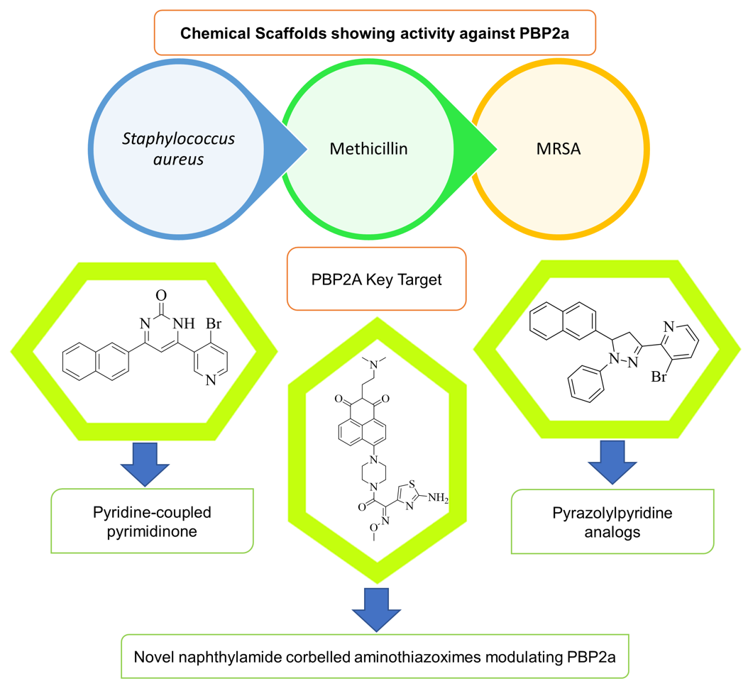 A Review on Five and Six-Membered Heterocyclic Compounds Targeting the ...