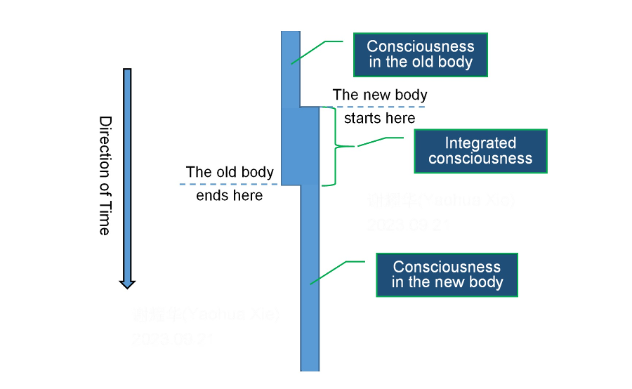 Prolonging Human Lifespan by Consciousness Integration or Brain ...