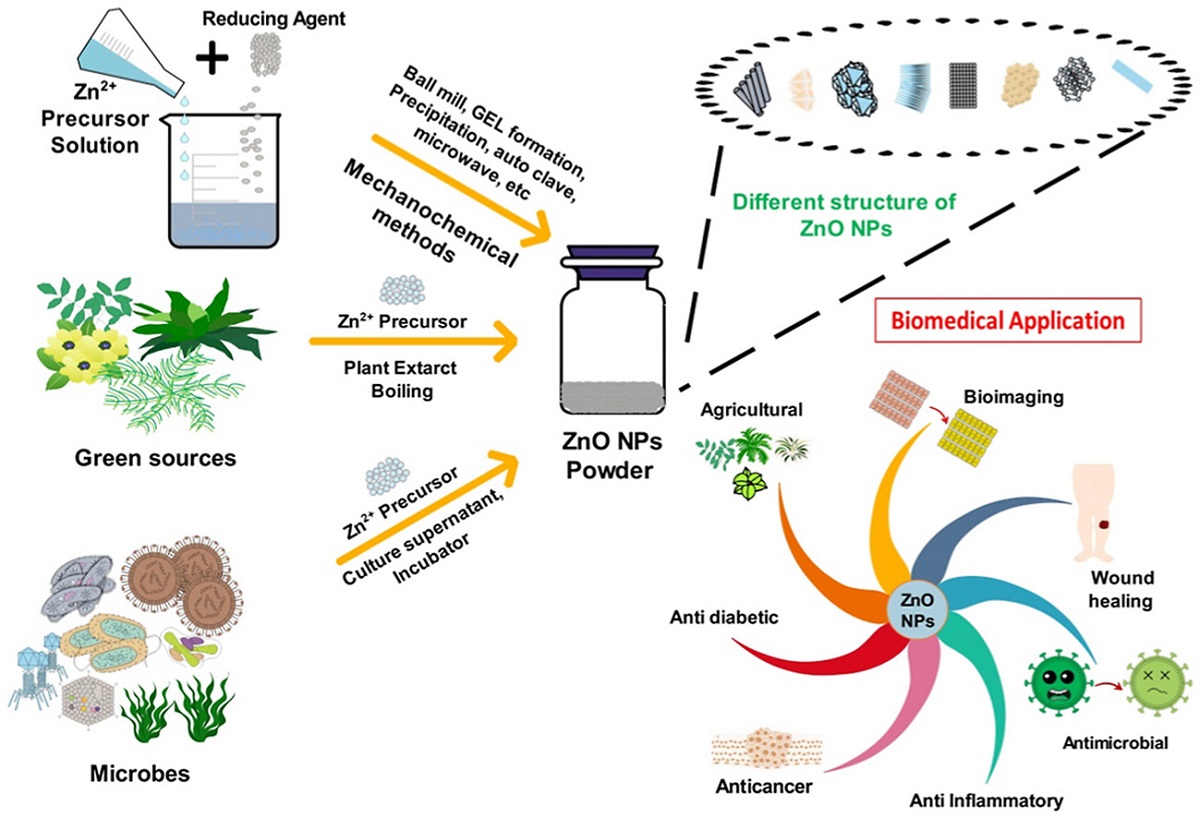 Development of Topical Formulations Containing 20% of Coated and ...