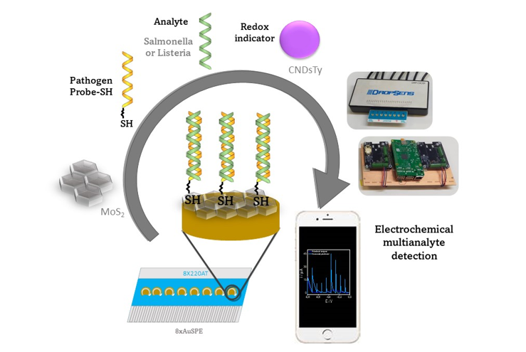 Multiplex Portable Biosensor for Bacteria Detection[v1] | Preprints.org