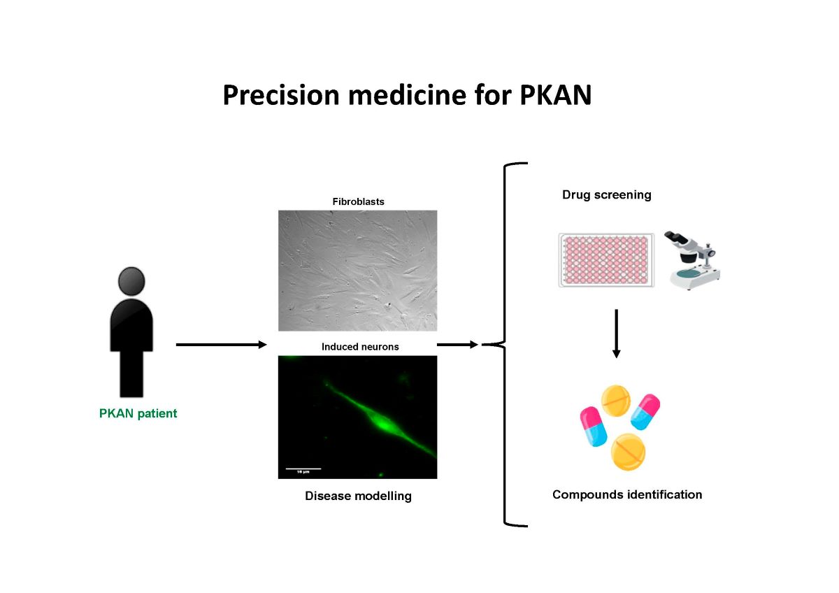Patient-Derived Cellular Models for Polytarget Precision Medicine in ...