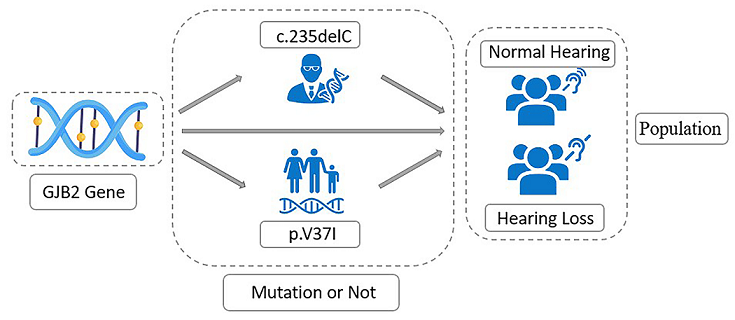Genotypic and Allelic Frequencies of GJB2 Variants and Features of ...