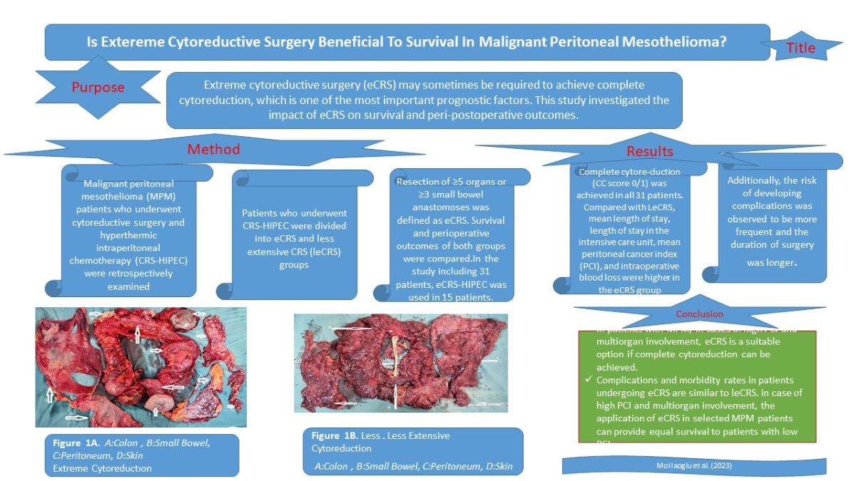 Intraperitoneal Organs List