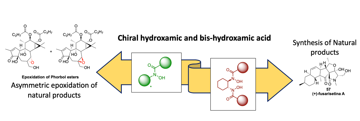 Chiral Hydroxamic Acids Ligands in Asymmetric Synthesis of Natural ...
