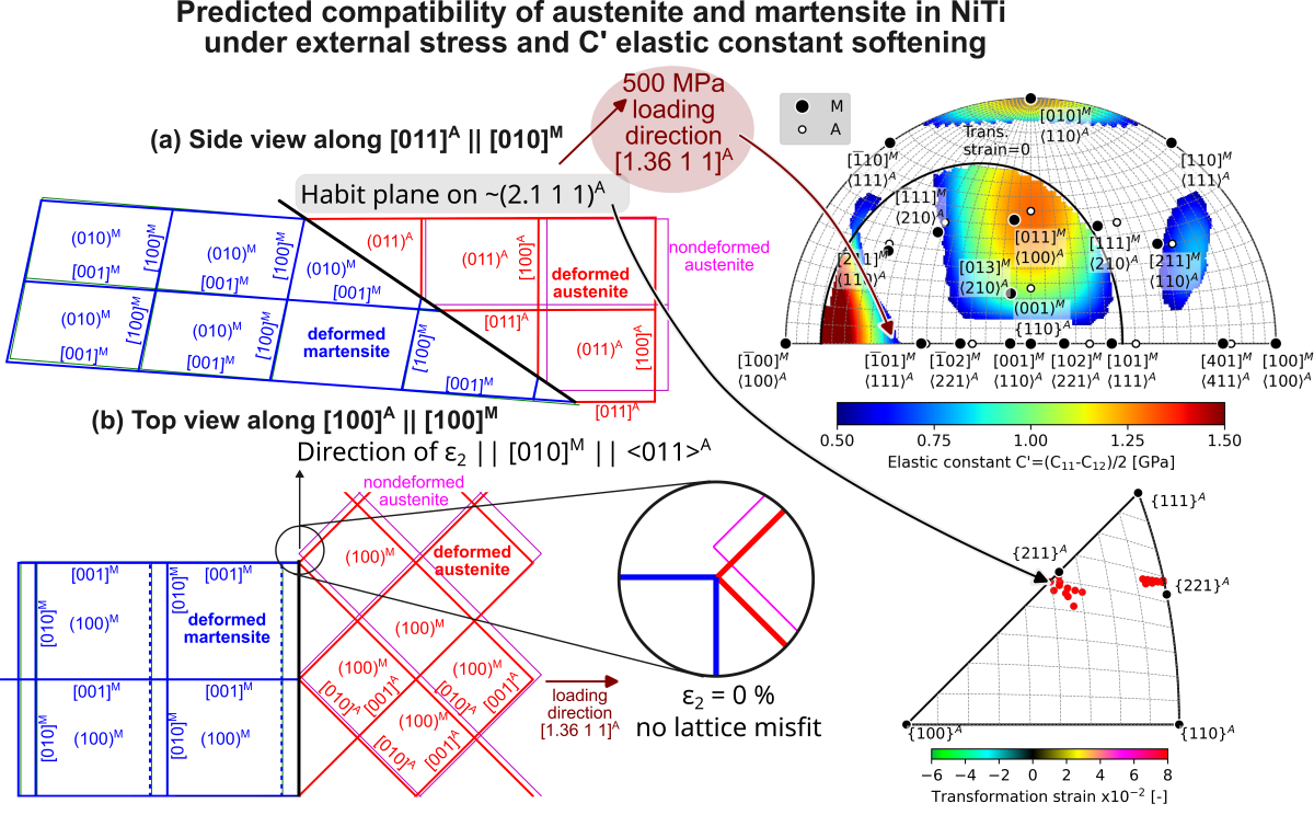 On the Compatibility Between Elastically Distorted Austenite and ...