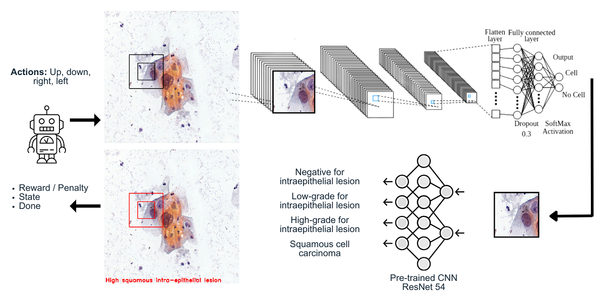 Deep Reinforcement Learning for Efficient Digital Pap Smear Analysis[v1] | Preprints.org