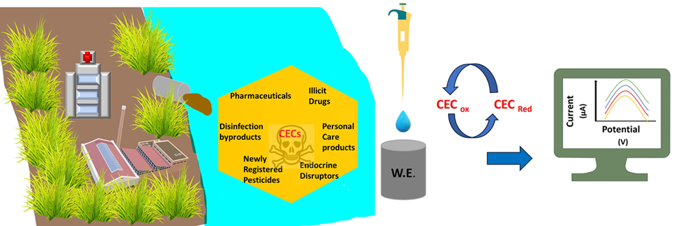 Recent Advances on Electrochemical Sensors for Detection of Contaminants of Emerging Concern ...