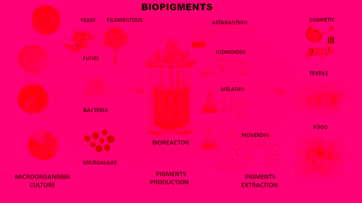 Biotechnological Applications of Microbial Pigments[v1] | Preprints.org