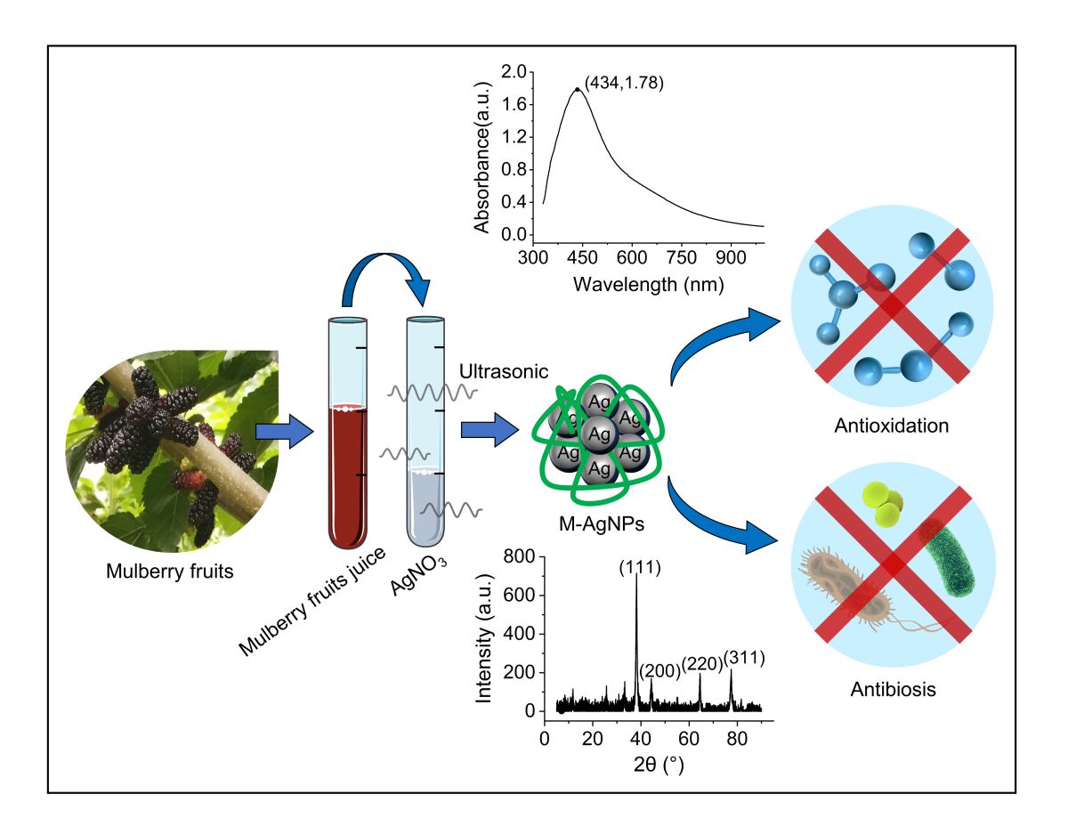 Green Synthesis of Silver Nanoparticles Using Fructus mori Juice ...