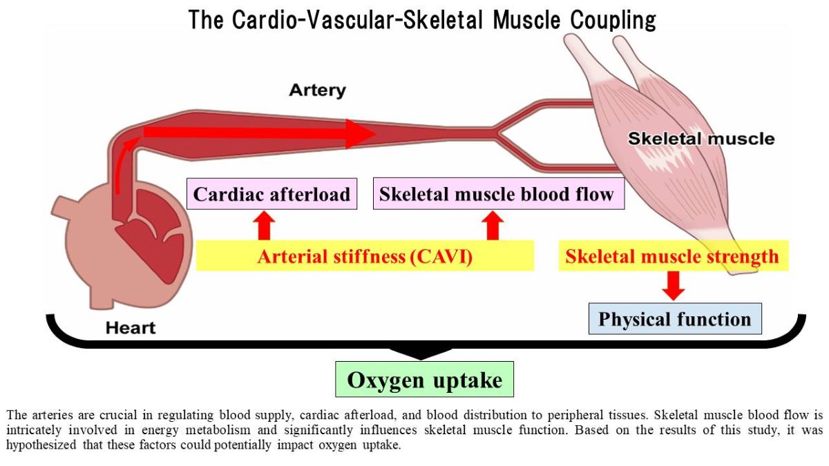 Determination of Peak Oxygen Uptake in Patients with Acute Myocardial ...