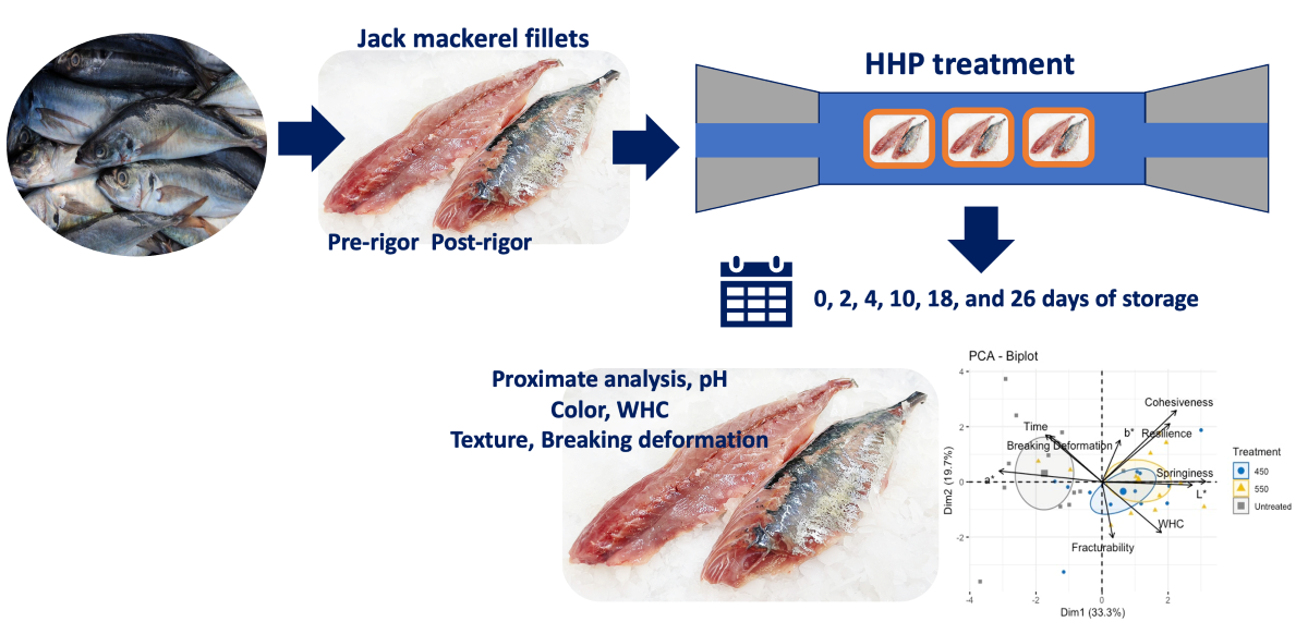 High Hydrostatic Pressure Applied to Pre- and PostRigor Jack Mackerel ...