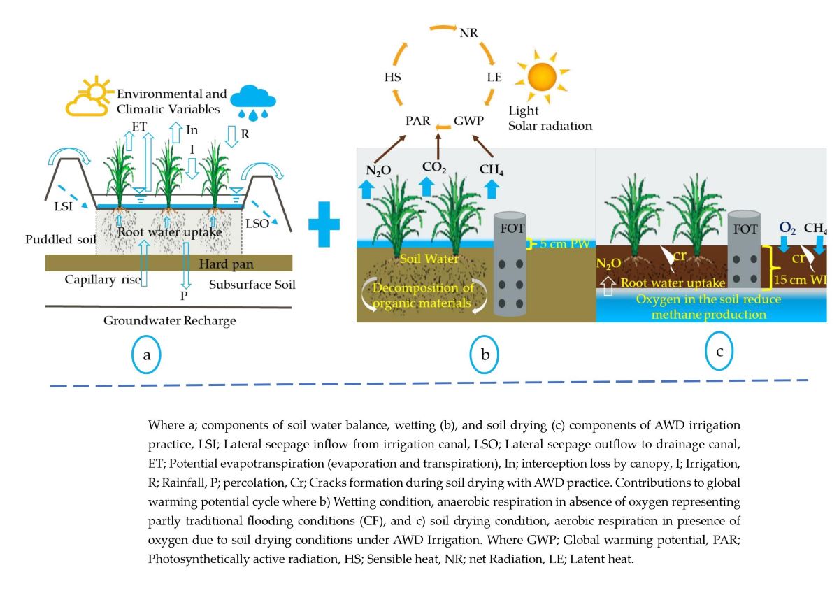 Water Management and Hydrological Characteristics of Rice-Paddy ...