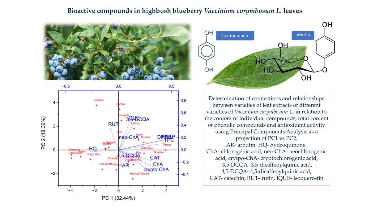 The Content of Bioactive Compounds in Highbush Blueberry Vaccinium ...