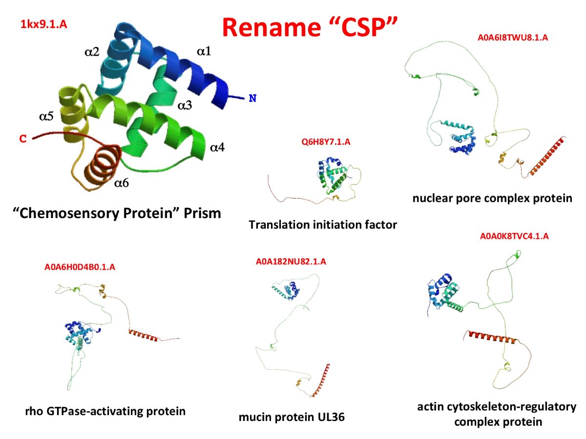 Renaming ‘Chemosensory’ Proteins (CSPs): Lipid/Nucleotide-Binding ...