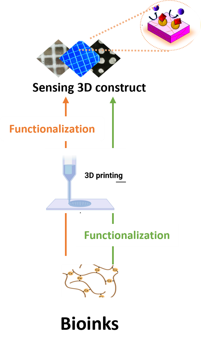 Additive Manufacturing Applications in Biosensors Technologies[v1 ...