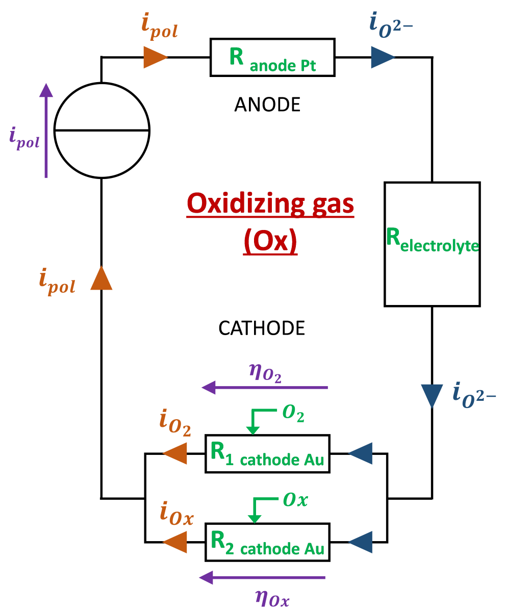 Modeling of Electrochemical SOFC- Based Sensors[v1] | Preprints.org