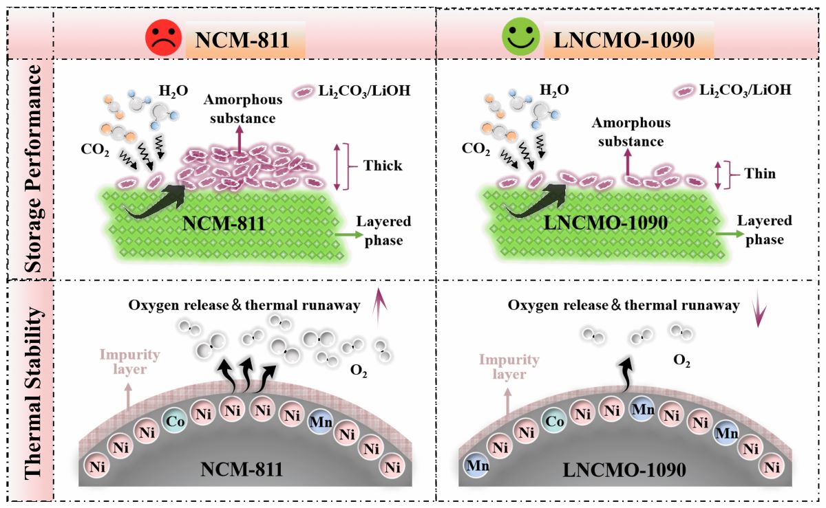 Enhancing the Storage Performance and Thermal Stability of Ni-rich Layered Cathodes by ...