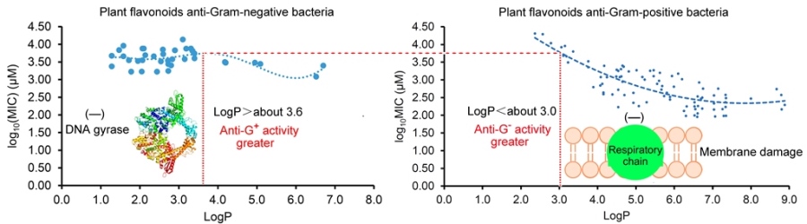 Antibacterial Activity and Mechanisms of Plant Flavonoids against Gram ...