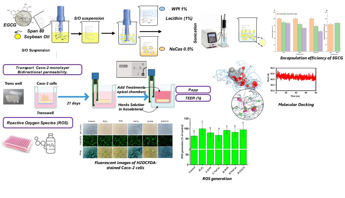 Whey Protein Sodium-Caseinate as a Deliverable Vector for Tea Catechins ...