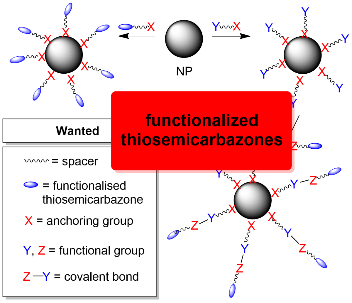 Functionalizing Thiosemicarbazones for Covalent Immobilization on ...