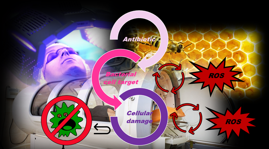 Reactive Oxygen Species (ROS)-Mediated Antibacterial Oxidative ...