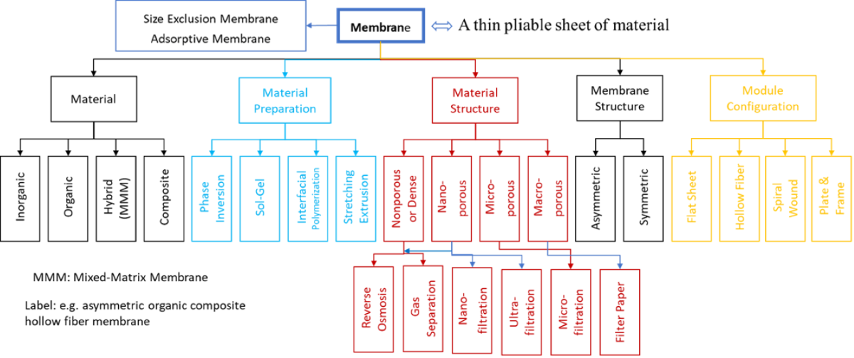 Cellulose Membranes: Synthesis and Applications for Water and Gas ...