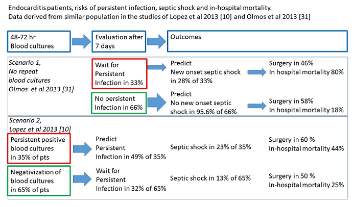 Is It Useful to Repeat Blood Cultures in Endocarditis Patients? A ...