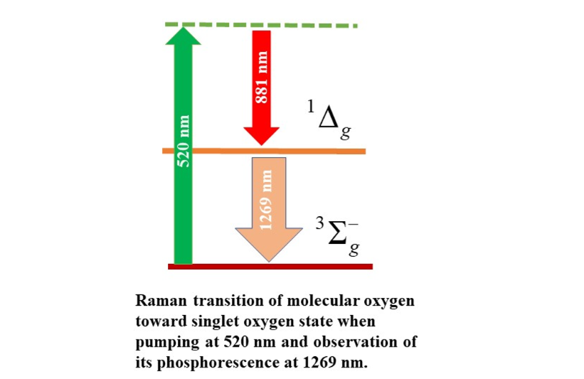 Near-Infrared Phosphorescence of the Raman Photogenerated Singlet ...