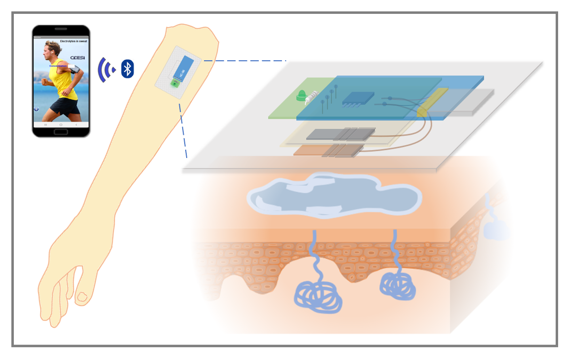 Sweat Electrolyte Detection Patch for Non-invasive Hydration Monitoring ...